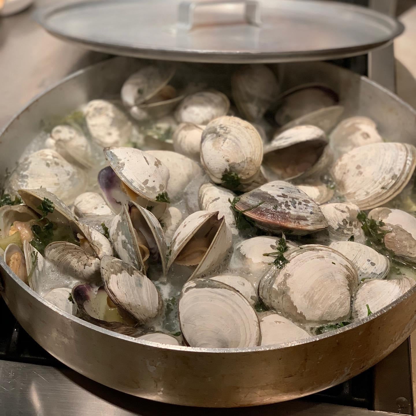 Clams - Top Neck Clams | Dobbs Ferry Lobster Guys